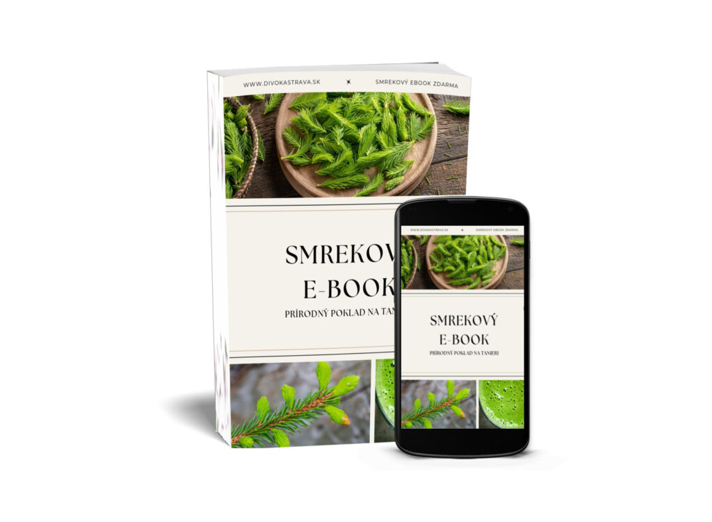 smrekovy-ebook - Divoká stravaDivoká strava