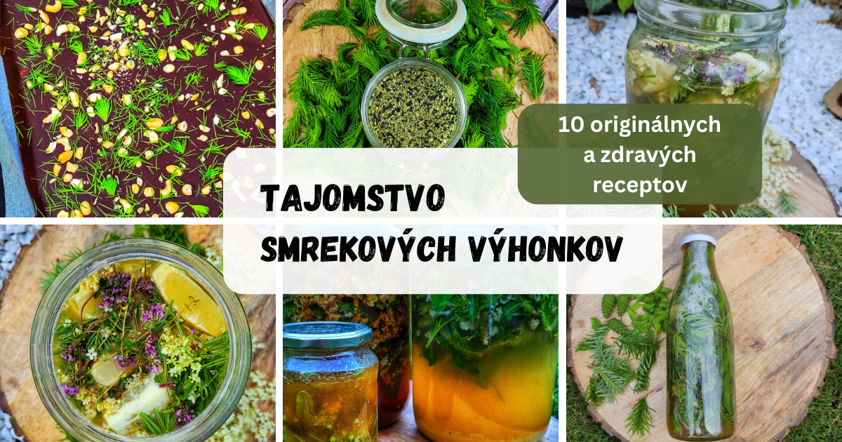 smrekovy-ebook - Divoká stravaDivoká strava